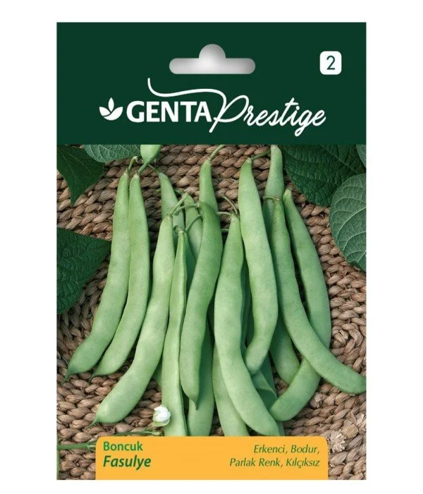 Genta Boncuk Fasulye Tohumu